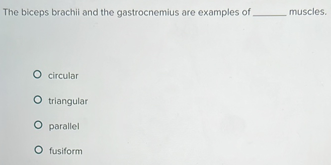 The Biceps Brachii and the Gastrocnemius Are Examples of __ Muscles ...
