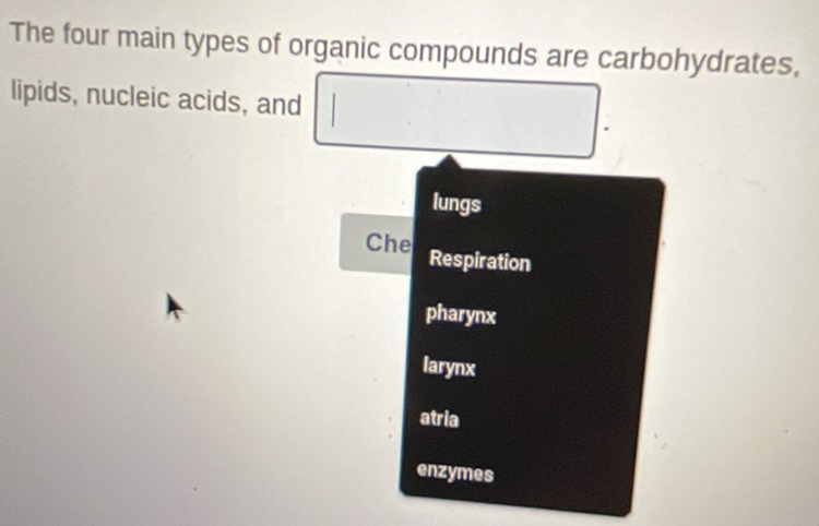 The Four Main Types of Organic Compounds Are Carbohydrates. Lipids ...