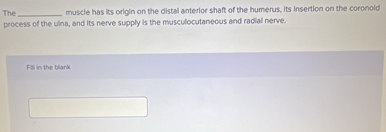 The __ Muscle Has Its Origin on the Distal Anterior Shaft of the ...