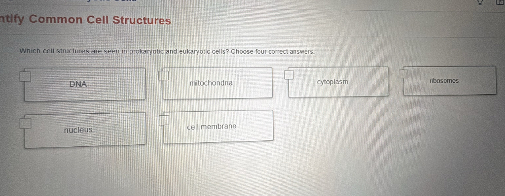 Ntify Common Cell Structures Which Cell Structures Are Seen in ...