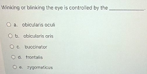Winking or Blinking the Eye Is Controlled by the __ A. Obicularis Oculi ...