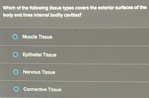 Which of the Following Tissue Types Covers the Exterlor Surfaces of the ...