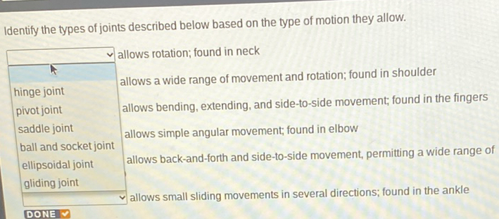Identify the Types of Joints Described Below Based on the Type of ...