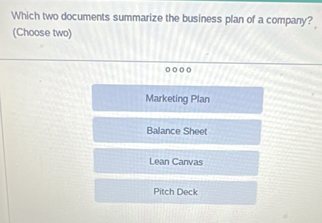 Which Two Documents Summarize the Business Plan Company? (Choose Two ...