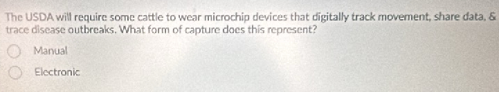 The USDA Will Require Some Cattle to Wear Microchip Devices That ...