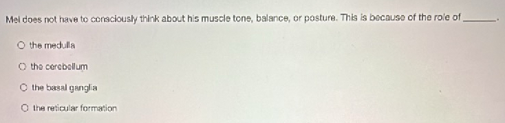 Mel Does Not Have to Consciously Think About His Muscle Tone, Balance ...