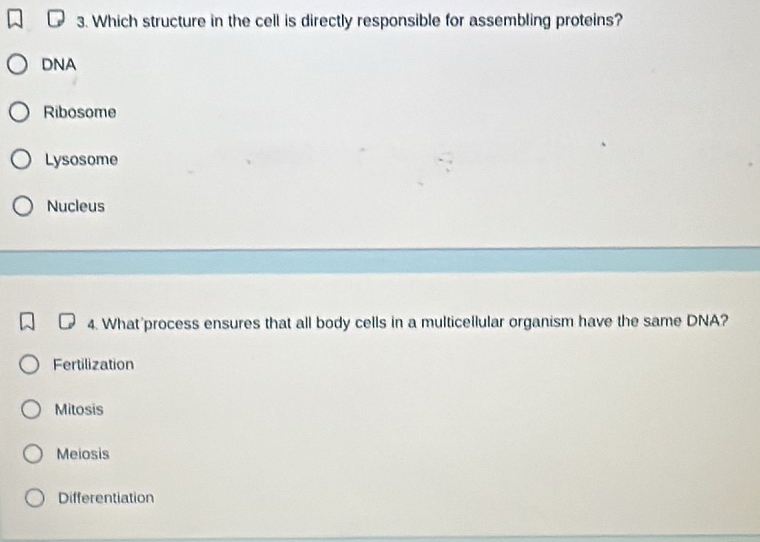 (1) 3. Which Structure in the Cell Is Directly Responsible for ...