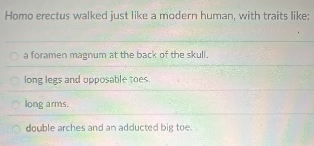 Homo Erectus Walked Just Like a Modern Human, with Traits Like: a ...